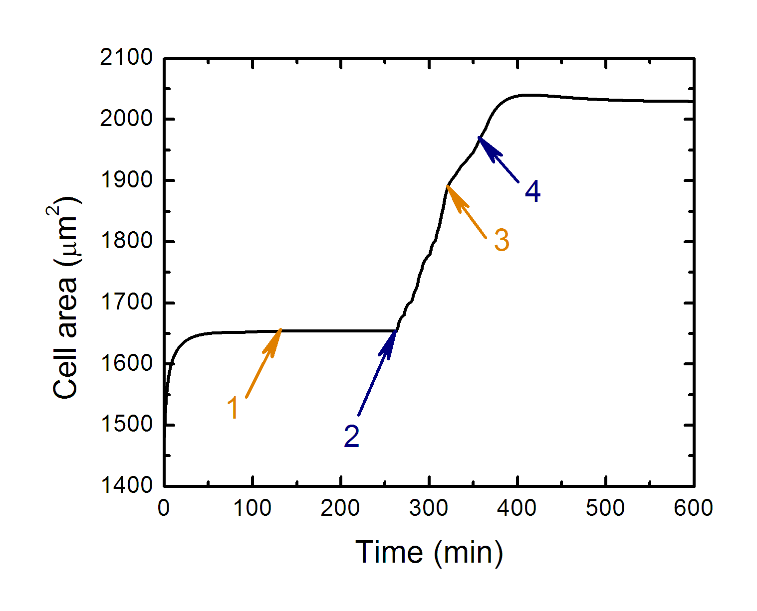 Projectedcell area as the function of time along cell trajectory while ...